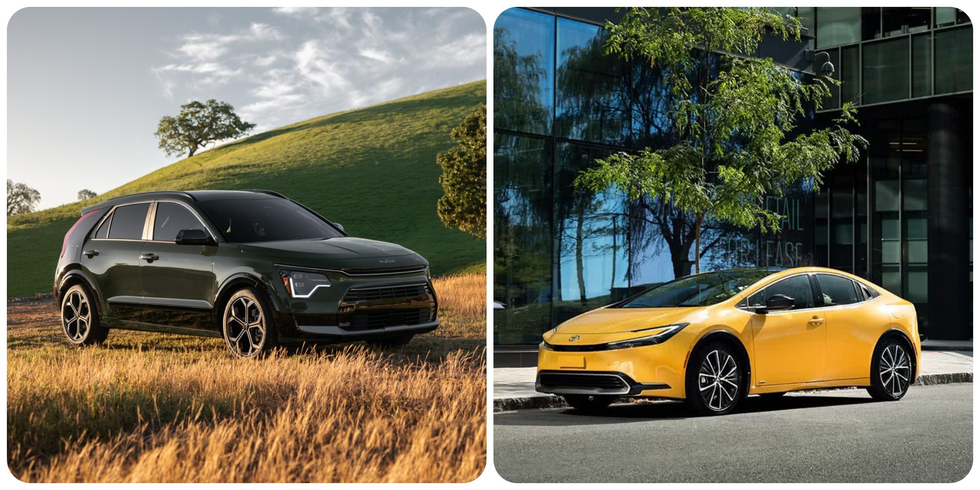 Duel hybride : Toyota Prius vs Kia Niro | ALBI le Géant